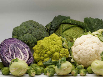 Il cavolo, un concentrato di benessere - CaffèBook