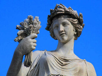 Il mistero irlandese del corbezzolo - CaffèBook